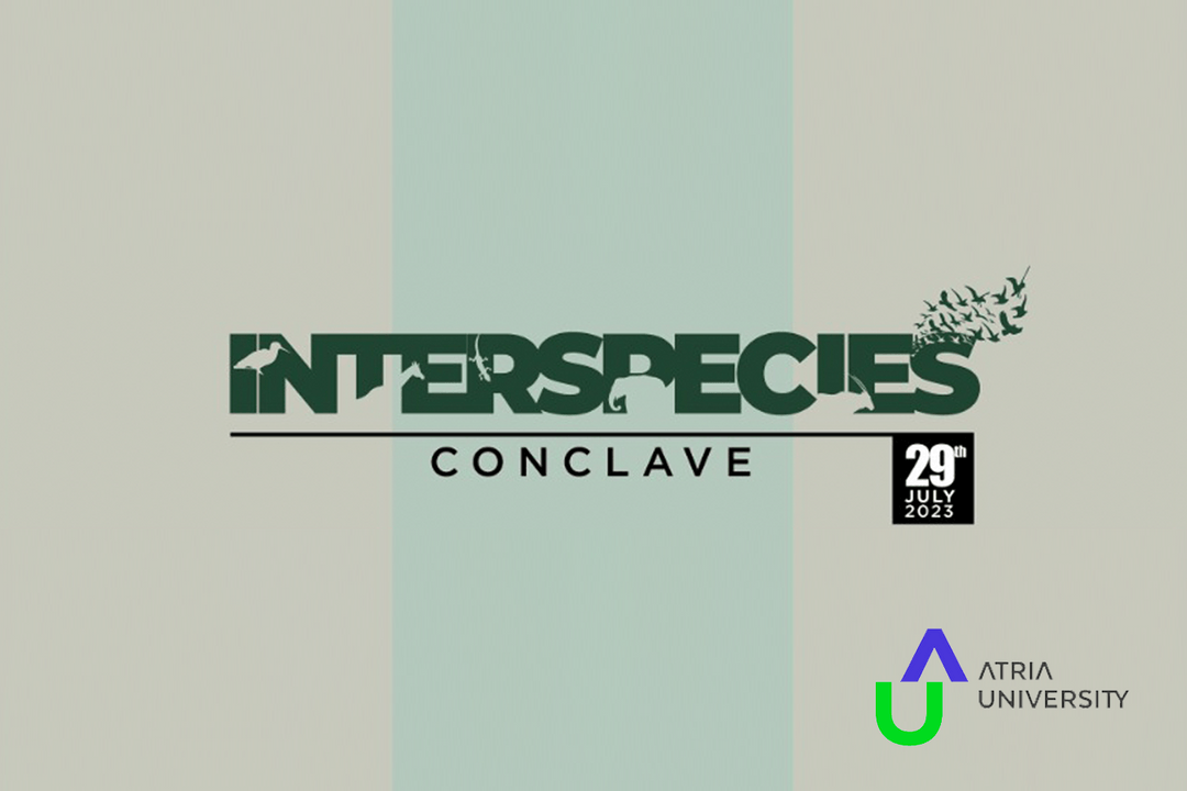 Illustrator | SillyStrokes